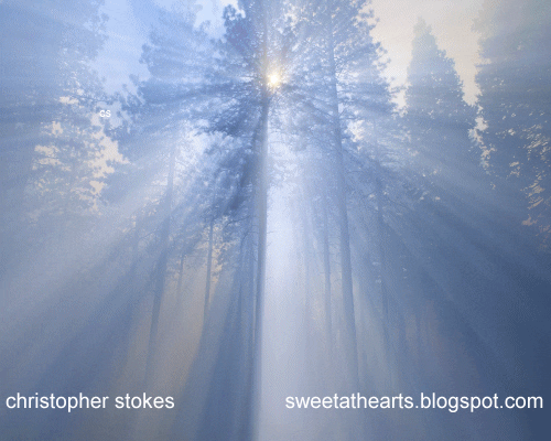 Shine GIFs - Find & Share on GIPHY