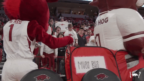 College Basketball GIF by Arkansas Razorbacks - Find & Share on GIPHY