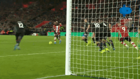 Southampton GIF by MolaTV - Find & Share on GIPHY