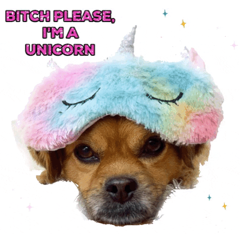 Good Night Dog GIF - Find & Share on GIPHY