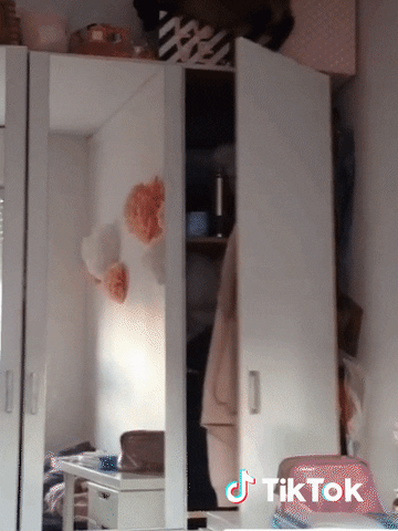 Flop Fml GIF by TikTok France - Find & Share on GIPHY
