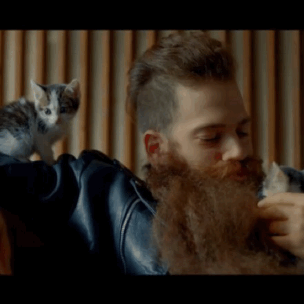 Beards GIF - Find & Share on GIPHY