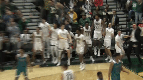 Tribe Hoops Wm Basketball GIF by William & Mary Tribe Athletics - Find ...