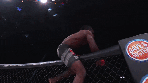 Fight Celebration GIF by Bellator - Find & Share on GIPHY