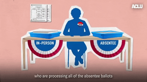Voting Election 2020 GIF by ACLU - Find & Share on GIPHY