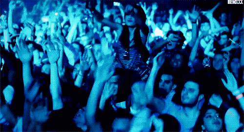 Party GIF - Find & Share on GIPHY