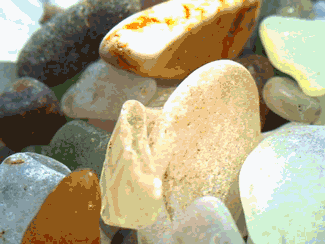 Glass GIFs - Find & Share on GIPHY