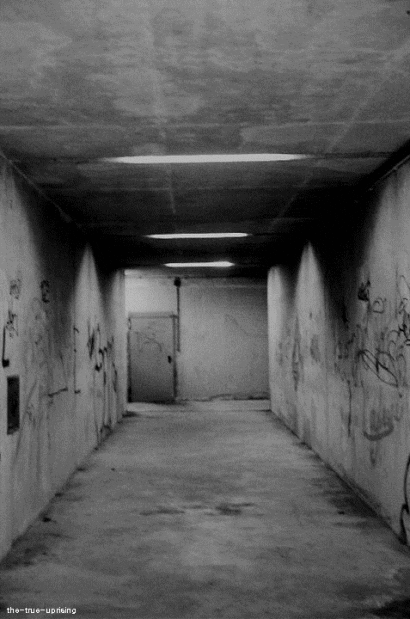 Hallway Find And Share On Giphy