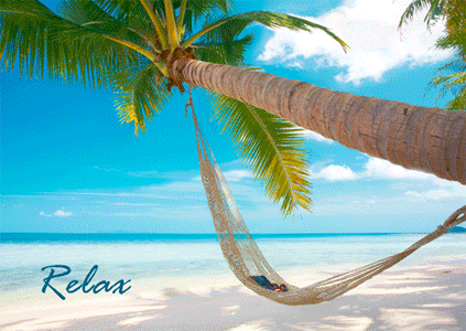 Relax GIF - Find & Share on GIPHY