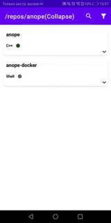 GitHub - KostyaGig/GithubRepositoriesApp: Explore other github user's code offline!