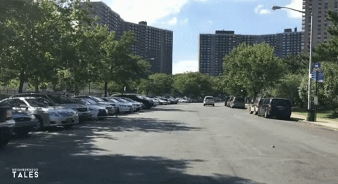 The Bronx GIF by Bronx Narratives - Find & Share on GIPHY