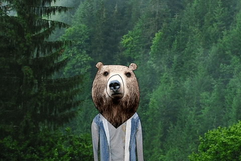 Bear GIF by CsaK - Find & Share on GIPHY