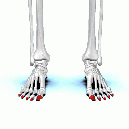 Foot GIF - Find & Share on GIPHY