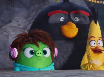 Angry Birds GIF - Find & Share on GIPHY