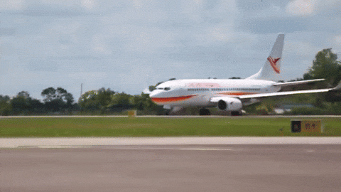 Slm GIF by Surinam Airways - Find & Share on GIPHY