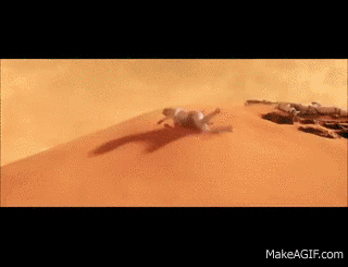 media.giphy.com on reddit.com