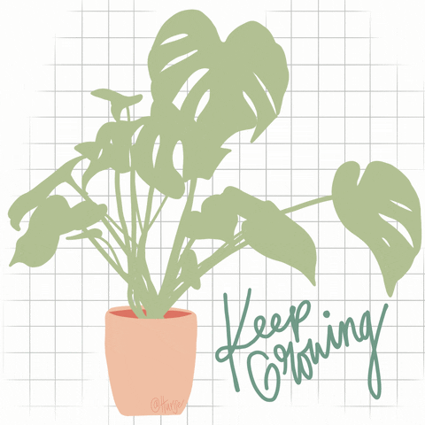 What is Germination? | Germination Guide | - mygardenchannel