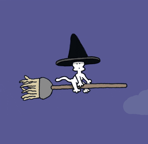 Flying Broom GIFs - Get the best GIF on GIPHY