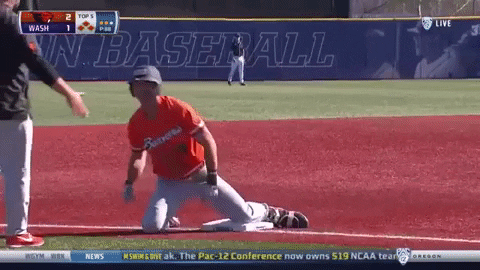 Oregon State Baseball GIF - Find & Share on GIPHY