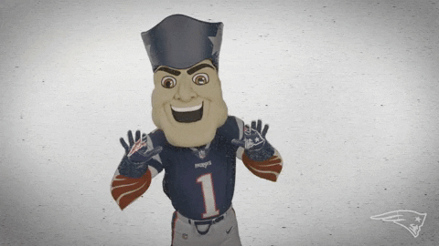 Football Sport GIF by New England Patriots - Find & Share on GIPHY