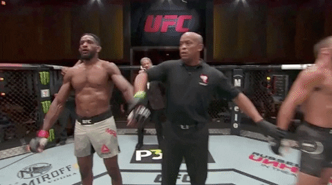 Sport Mma GIF by UFC - Find & Share on GIPHY