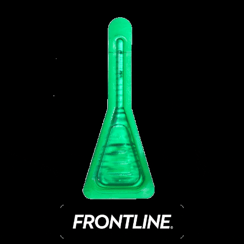 Frontline GIF by Boehringer Ingelheim - Find & Share on GIPHY