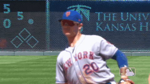 Ny Mets Sport GIF by New York Mets - Find & Share on GIPHY
