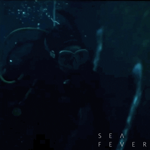 Creature Feature Movie GIF by Signature Entertainment - Find & Share on ...