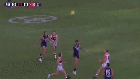 Fremantle Dockers GIF - Find & Share on GIPHY