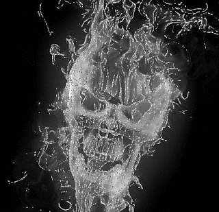 Skull GIF - Find & Share on GIPHY