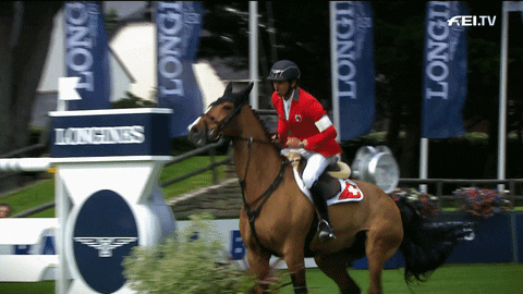 Jumping Steve Guerdat GIF by FEI Global - Find & Share on GIPHY