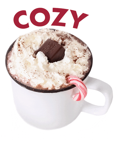 Chocolate Choco GIF by Ritter Sport - Find & Share on GIPHY