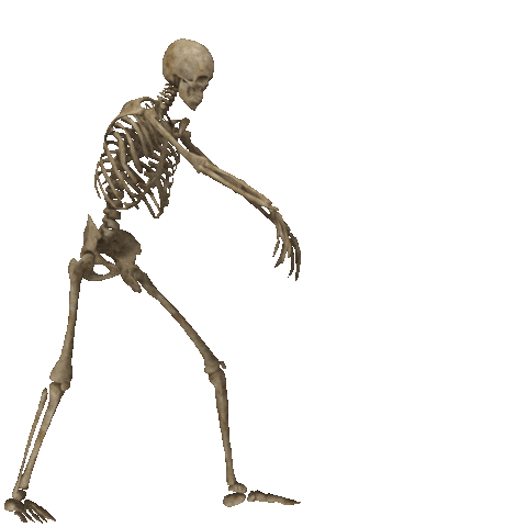 Dance Skull Sticker by DJ The Prophet for iOS & Android | GIPHY