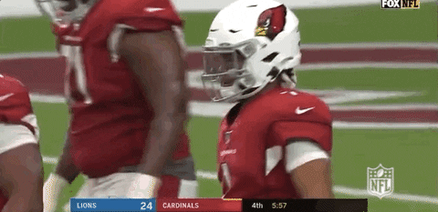 Arizona Cardinals Football GIF by NFL - Find & Share on GIPHY