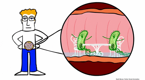 Bacteria GIFs - Find & Share on GIPHY