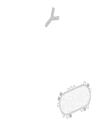 Bacteria GIF - Find & Share on GIPHY