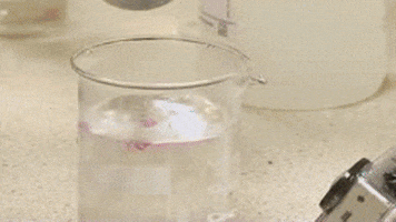 Color Change GIF - Find & Share on GIPHY