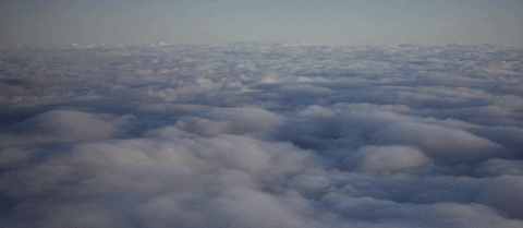 Flying San Francisco GIF by hateplow - Find & Share on GIPHY