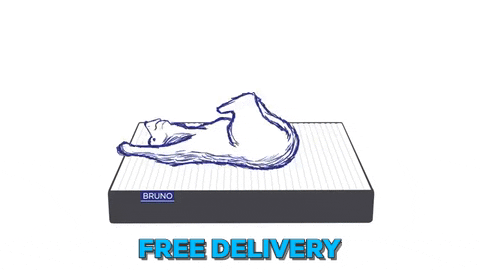 Sleep Sleeping GIF by Bruno - Find & Share on GIPHY