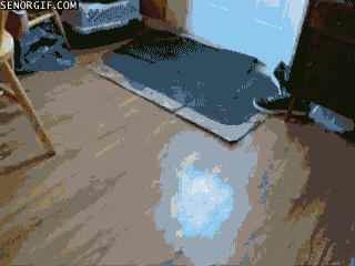 Cat Rage GIF by Cheezburger - Find & Share on GIPHY