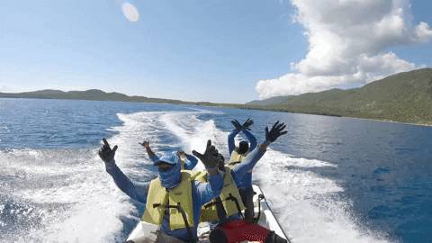 Celebration Beach GIF by 4ocean - Find & Share on GIPHY