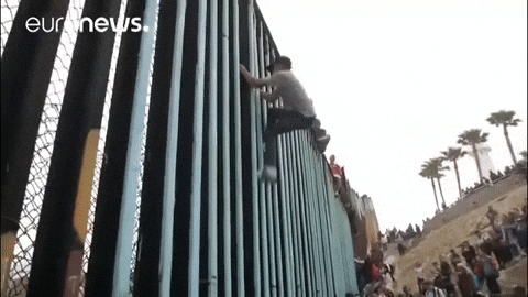 Wall Climbing GIF by euronews - Find & Share on GIPHY