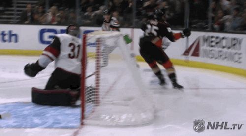 Happy Ice Hockey GIF by NHL - Find & Share on GIPHY