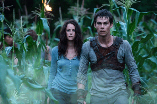 The Maze Runner GIF - Find & Share on GIPHY
