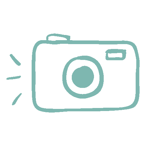 Photography Sticker for iOS & Android | GIPHY