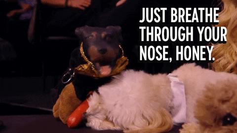 Triumph The Insult Comic Dog Reaction GIF by Comedy Central - Find ...