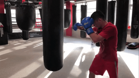 Punch Boxing GIF by RCC Sport - Find & Share on GIPHY