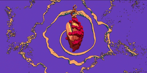 Fields GIF by EARTHGANG - Find & Share on GIPHY