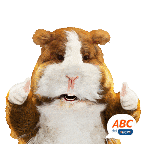 Abcdelbcp Cuymagico Cuysejos Bcp Bancodecreditobcp Sticker by BCP for ...