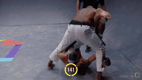 Karate Combat GIF - Find & Share on GIPHY